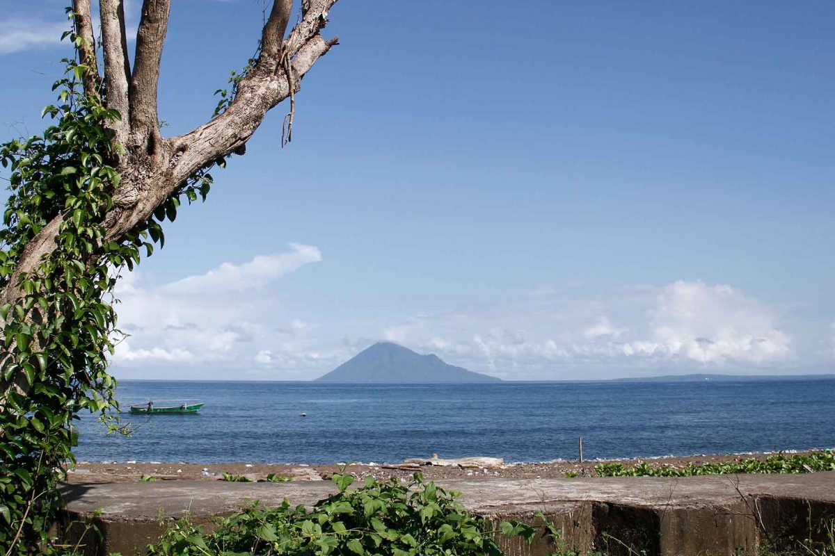 Explore Manado: Culinary Tourism in Manado City