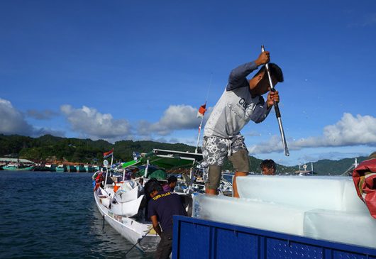FOTO: Pelabuhan perikanan samudera Bitung