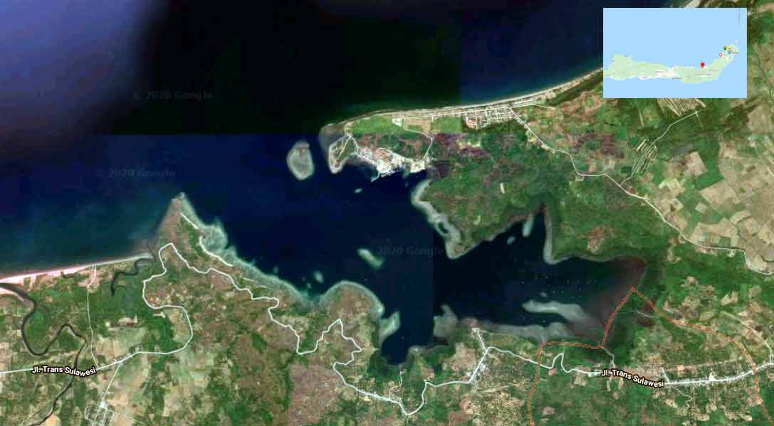 Restorasi mangrove yang setengah hati di Teluk Labuan Uki (2)