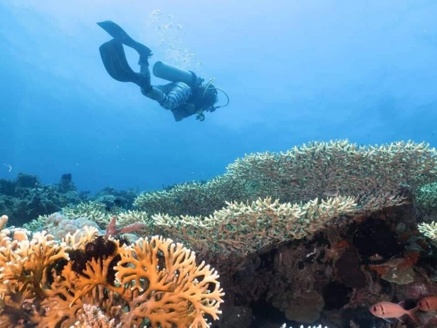 Menyelami keindahan alam dan wisata edukasi konservasi di Desa Wisata Deaga