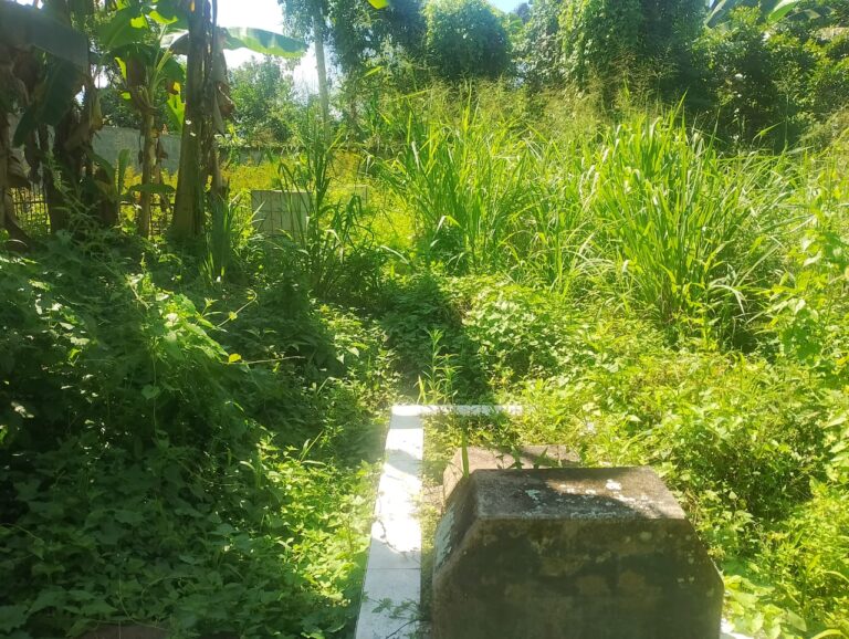 Mengungkap jejak Kartini Manoppo, istri Presiden Soekarno di Kotamobagu ...
